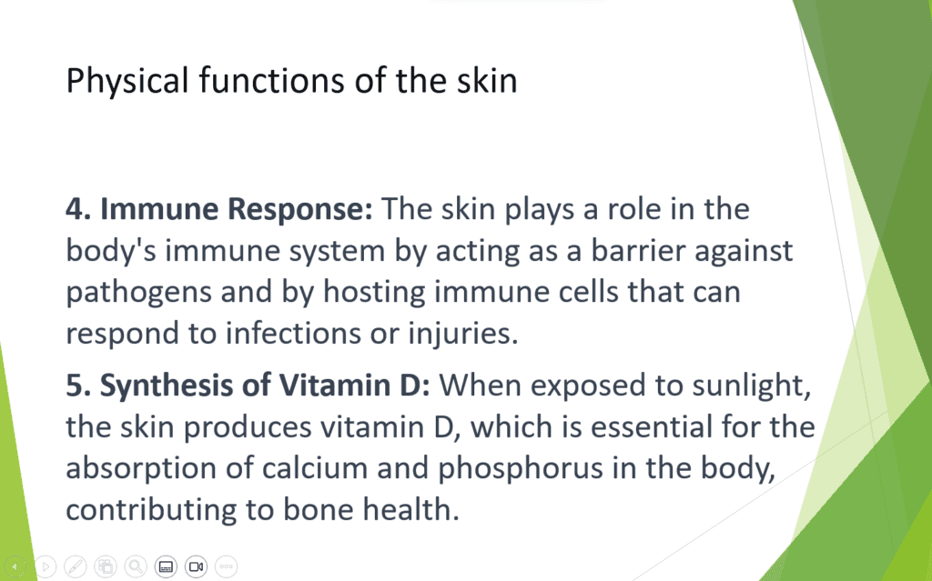 Physical functions of the skin - Ms.Thu Medical English